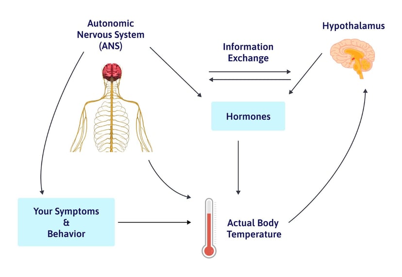 Feeling Cold, Hot, or Fevered After a Head Injury | Cognitive FX