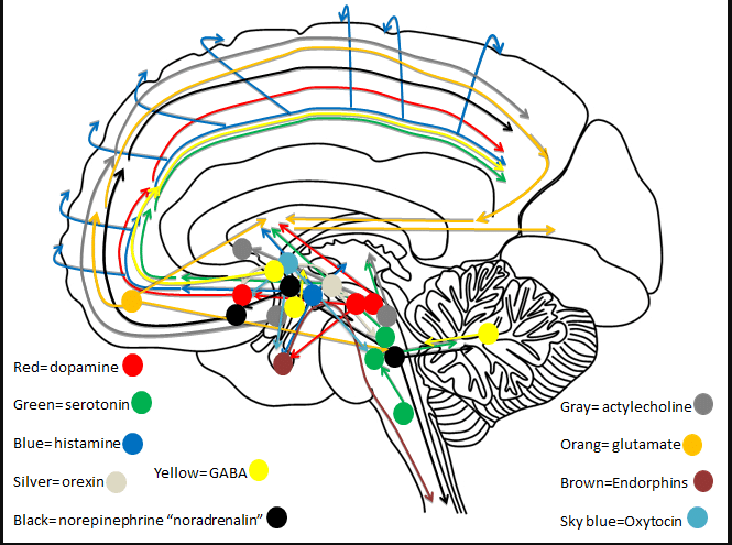 Evidenced based treatment for Concussion, PCS and Depression.