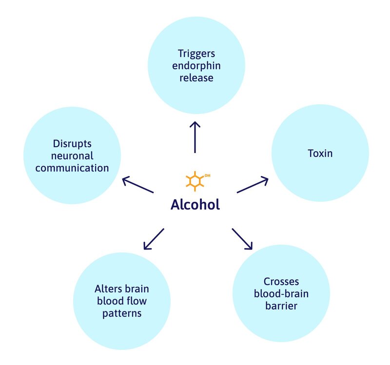 Truth About Alcohol, Caffeine, & Concussion Recovery | Cognitive FX