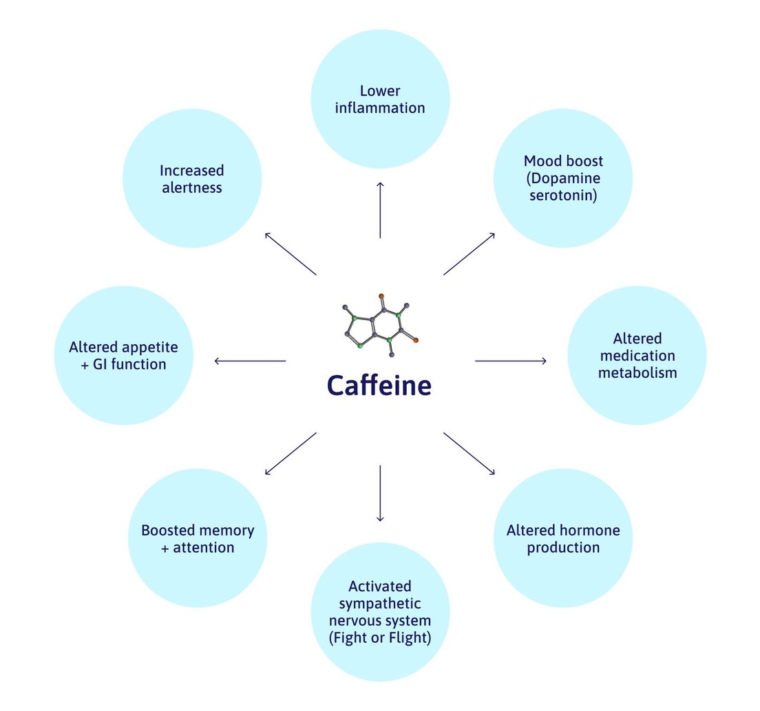 Truth About Alcohol, Caffeine, & Concussion Recovery | Cognitive FX