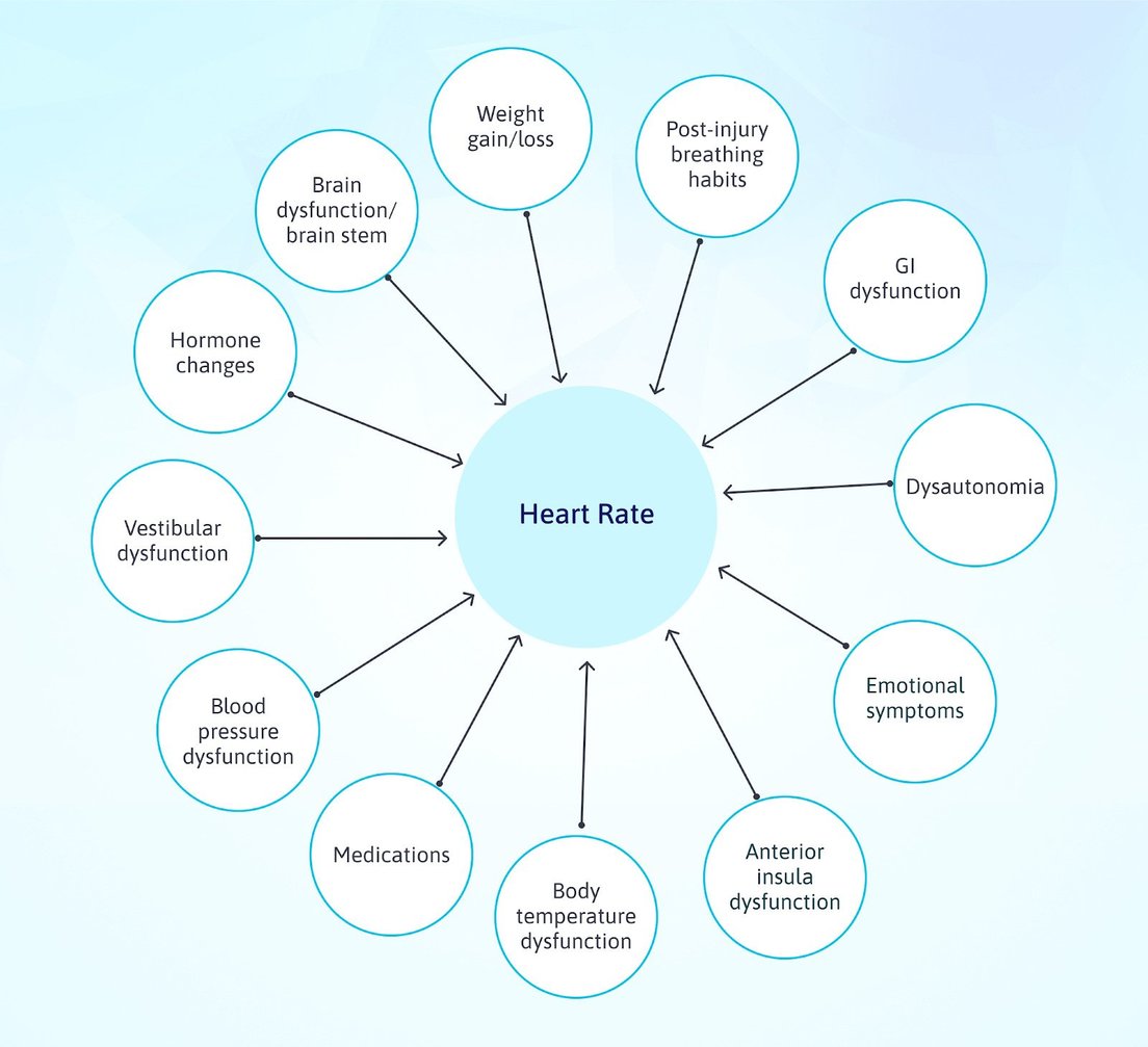 The Patient’s Guide to Post-Concussion Heart Rate Increase, Heart ...