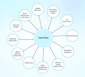 The Patient’s Guide to Post-Concussion Heart Rate Increase, Heart ...