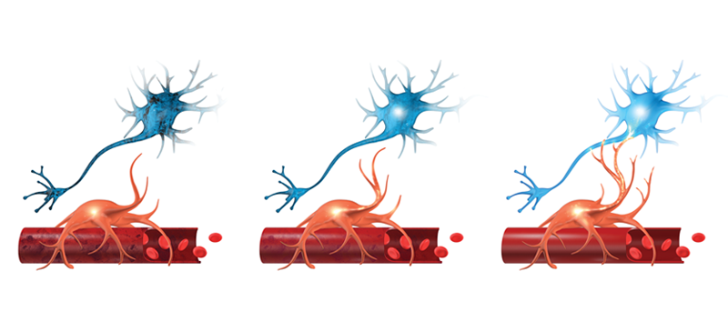 The fNCI Scan | Cognitive FX