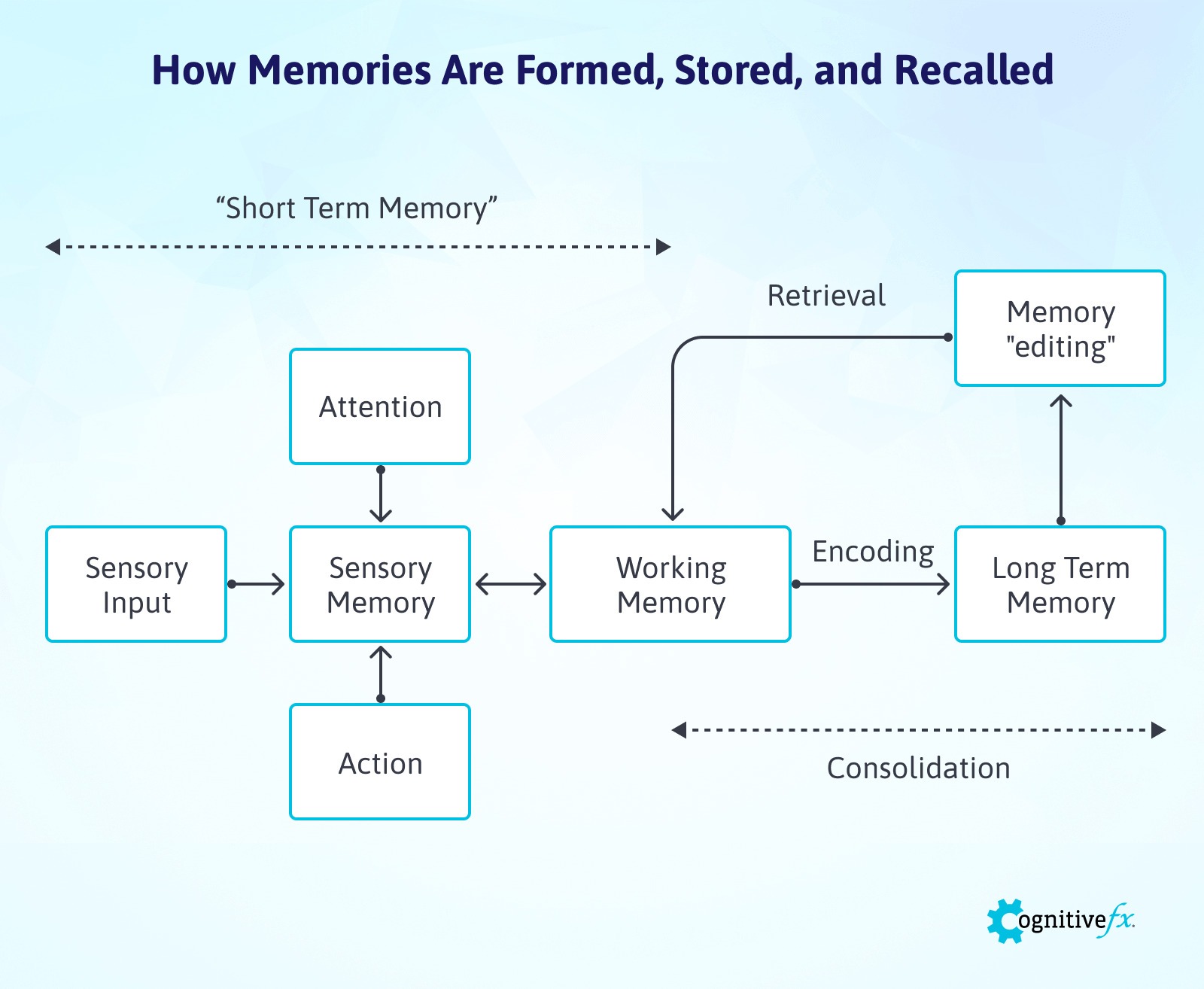 Post-concussion Memory Loss: Recovery Stories & FAQs | Cognitive FX