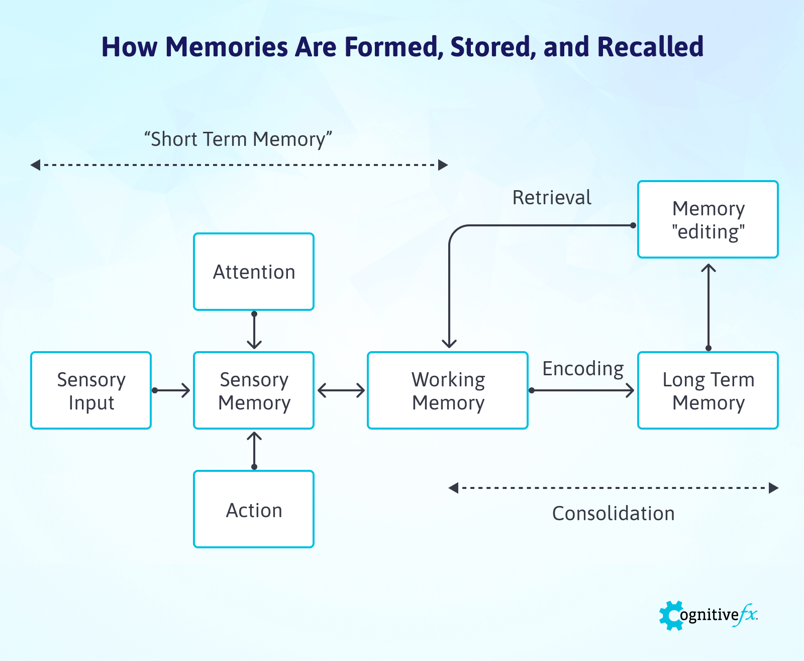 Post-concussion Memory Loss: Recovery Stories & FAQs | Cognitive FX