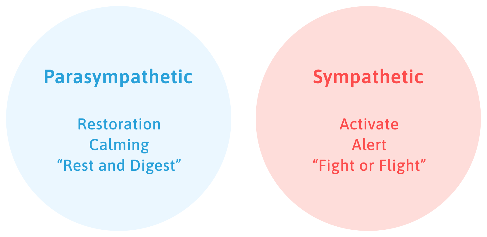 Guide to Post-Concussion Autonomic Dysfunction | Cognitive FX