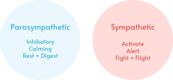 Guide to Post-Concussion Autonomic Dysfunction | Cognitive FX