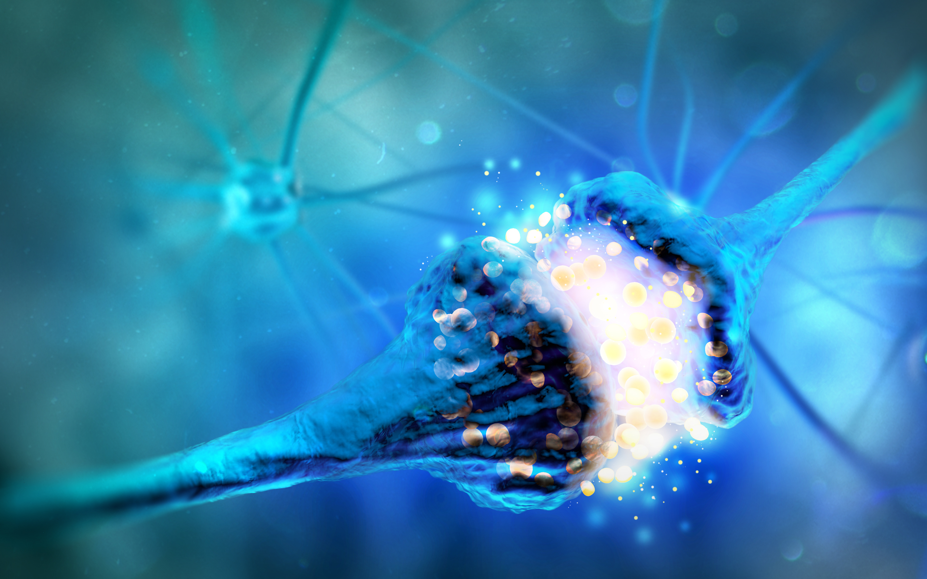 The fNCI Scan | Cognitive FX