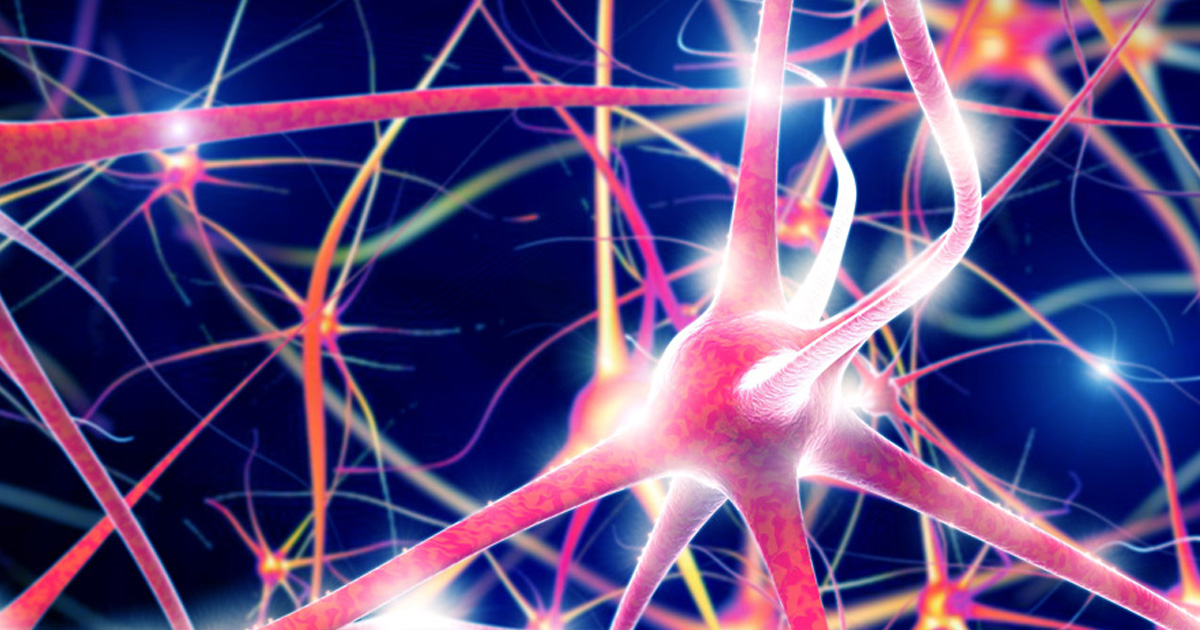 Neurovascular Coupling | Post Concussion Treatment Center | Cognitive FX